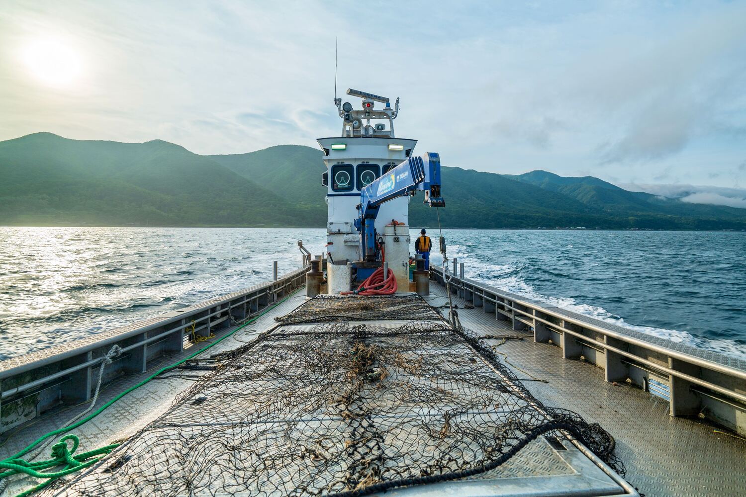 自宅で楽しむ北海道の味。揚げるだけで絶品の『ホッケフライ』をご紹介【PR】 - NORTH DISH（ノースディッシュ）